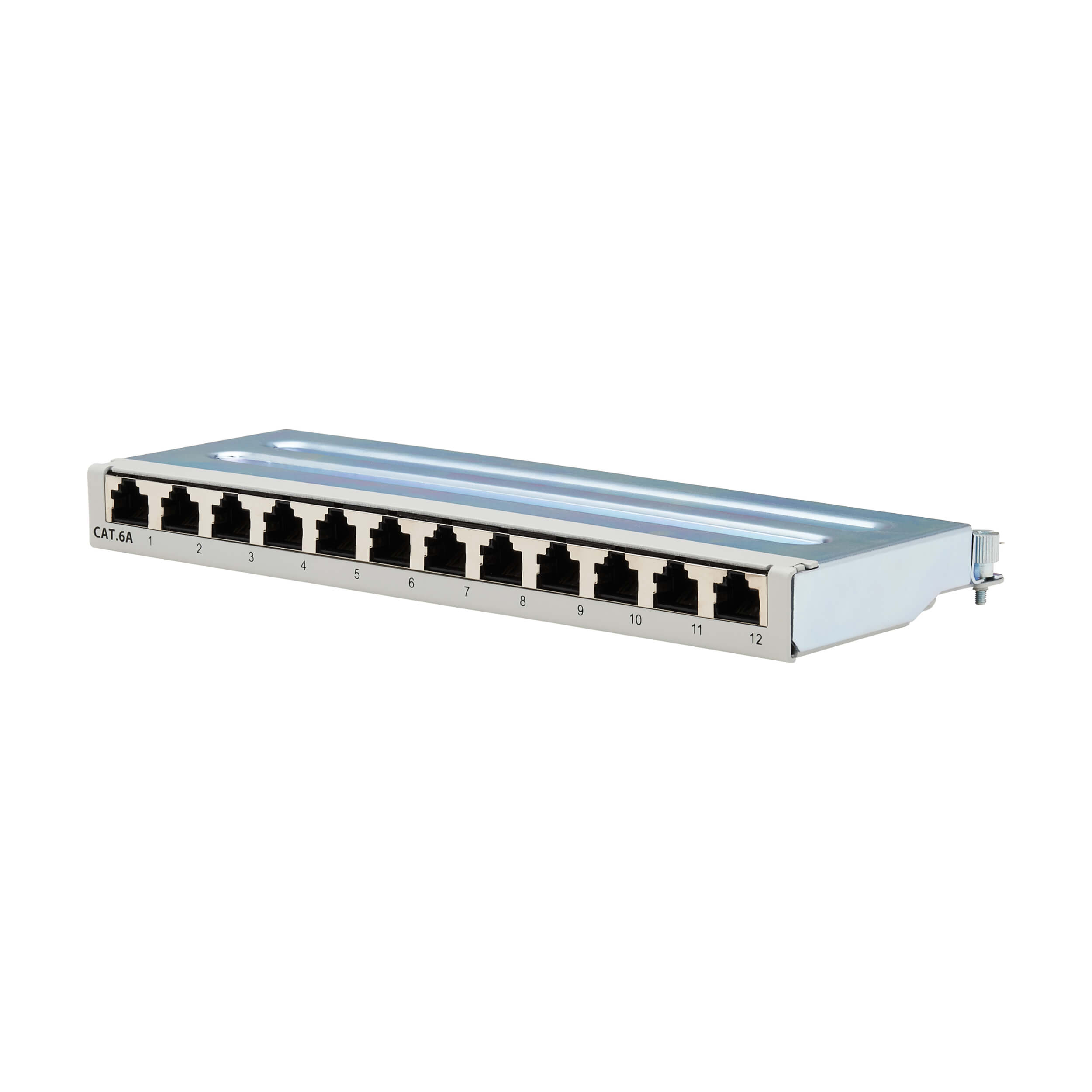 12-Port Cat6a Patch Panel, DIN Mount, Wall-Mount, 110/Krone | Eaton