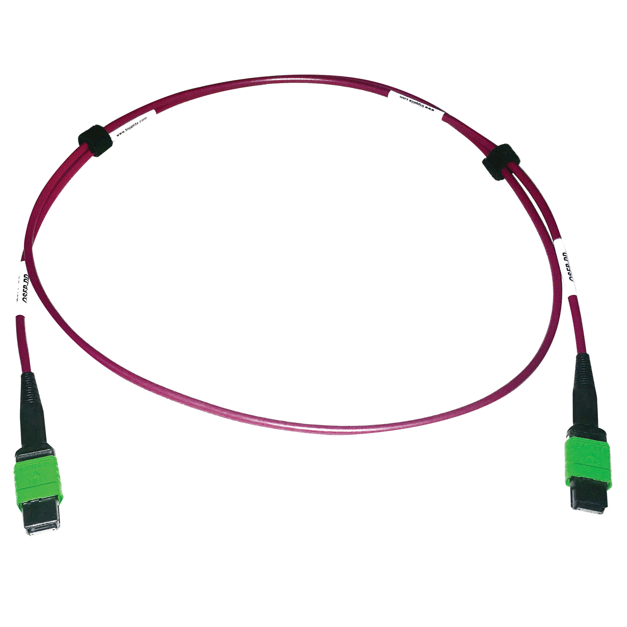 400G MTP/MPO Multimode OM4 Fiber Cable, Magenta, 1M | Eaton