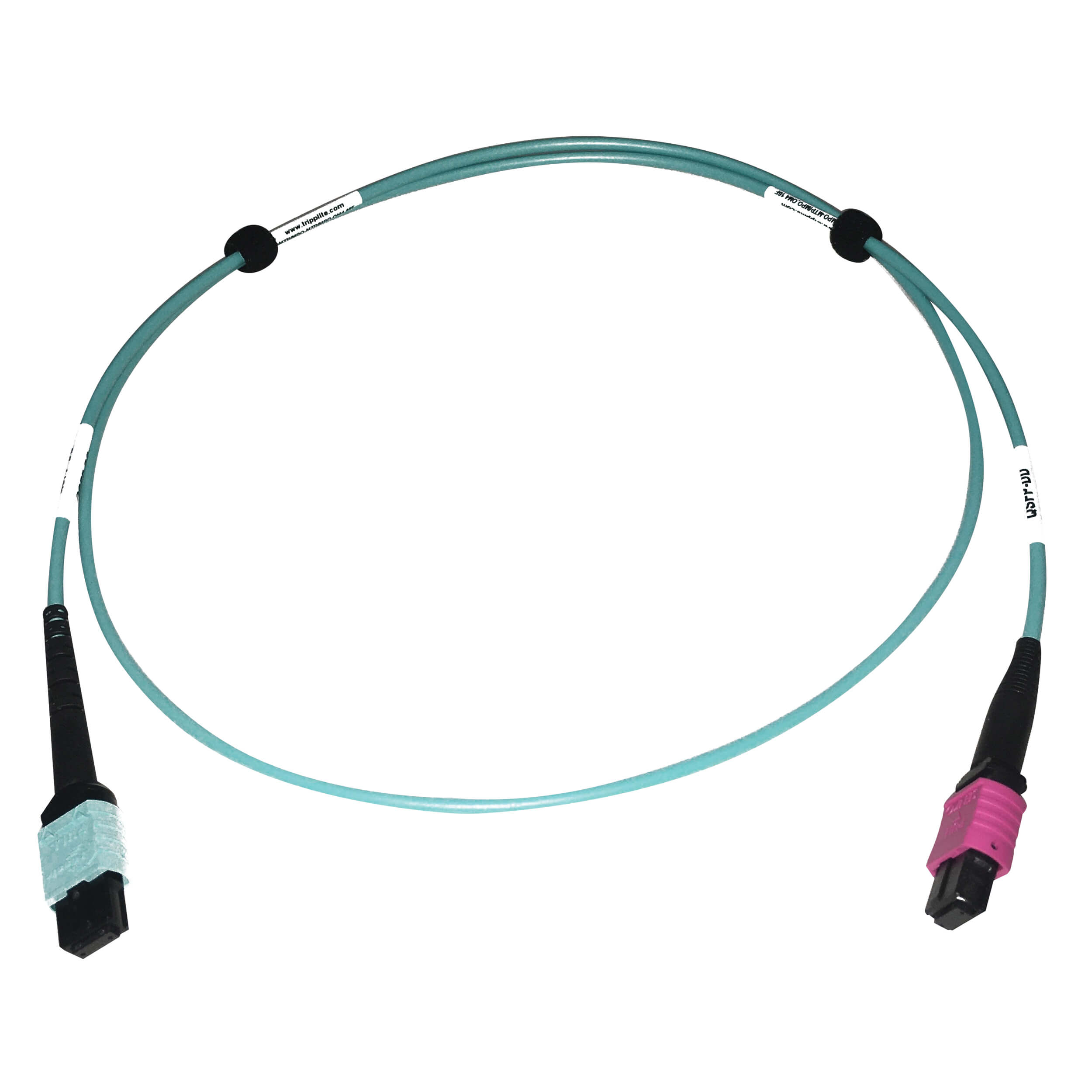 400G MTP/MPO Multimode OM4 Fiber Cable, 24F to 16F Aqua, 1M | Eaton