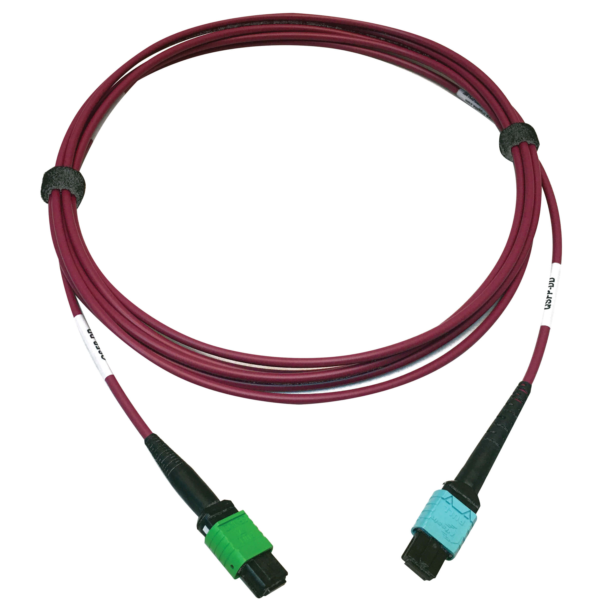 400G MTP/MPO Multimode OM4 Fiber Cable, 16F to 24F Magenta, 3M | Eaton