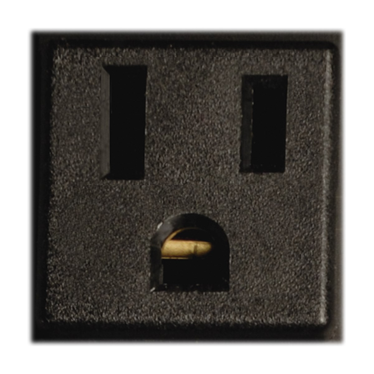 Single-Phase Switched PDU 120V, 16 5-15R Outlets, 10-ft Cord, TAA | Eaton